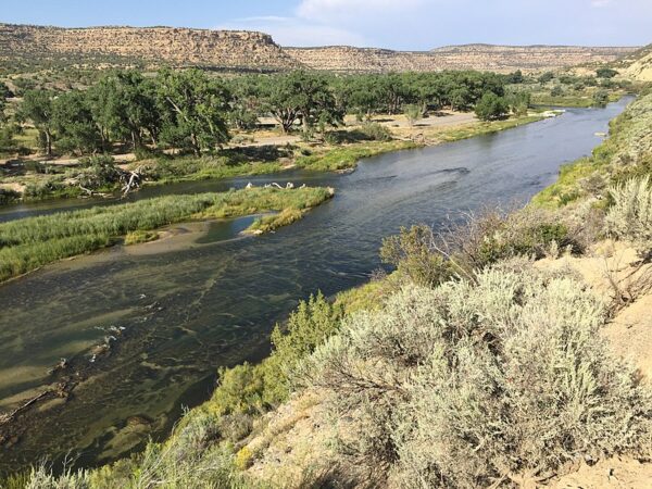 New Mexico unveils 50-year water conservation plan - Mary Scott Nabers