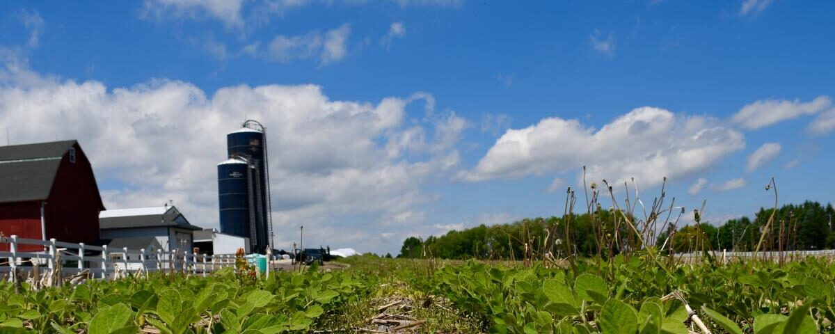 $25 million program to give ethanol producers a boost into clean fuel ...