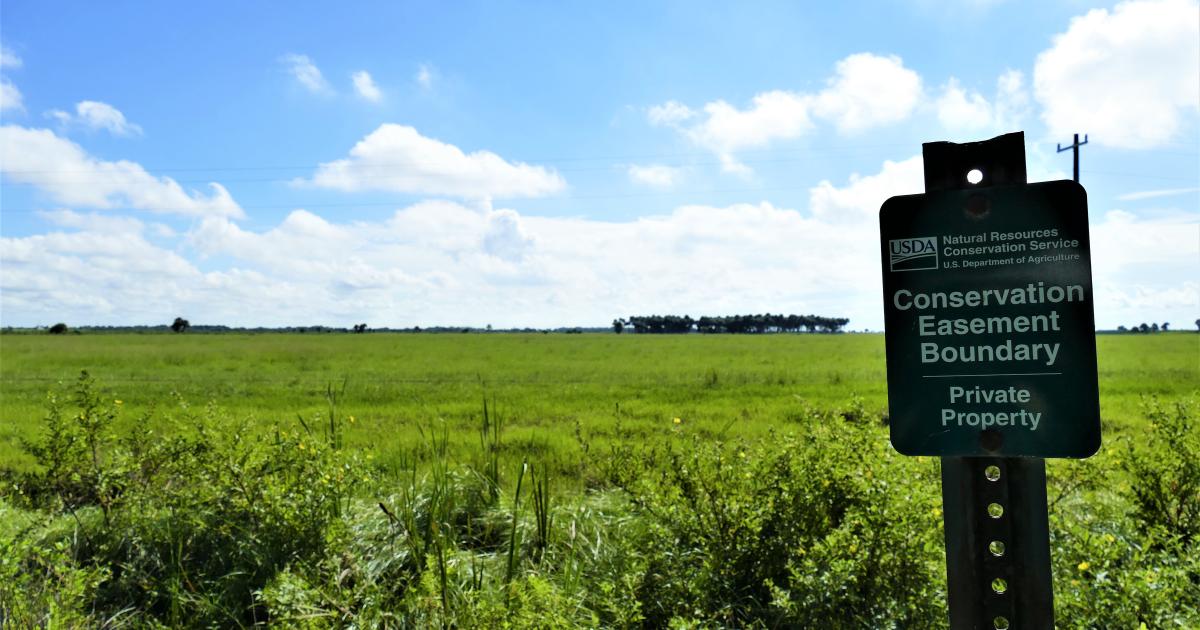 USDA to fund new wetlands conservation easements - Mary Scott Nabers