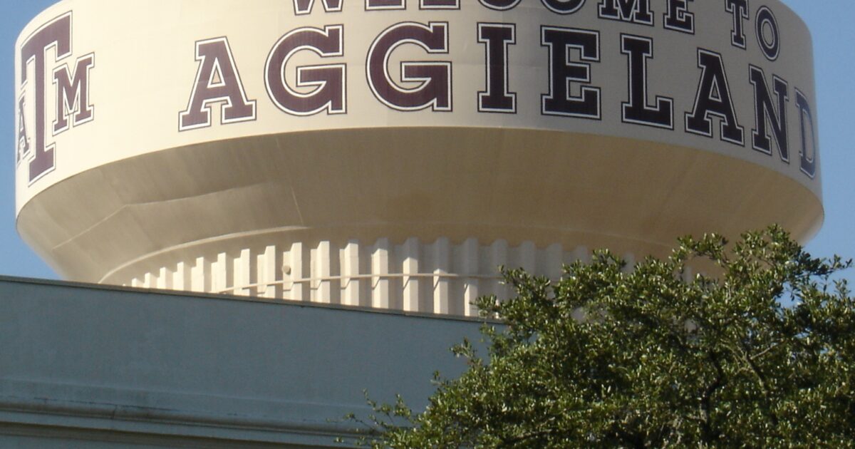 Texas A&M partners with nuclear reactor companies to bring more energy ...