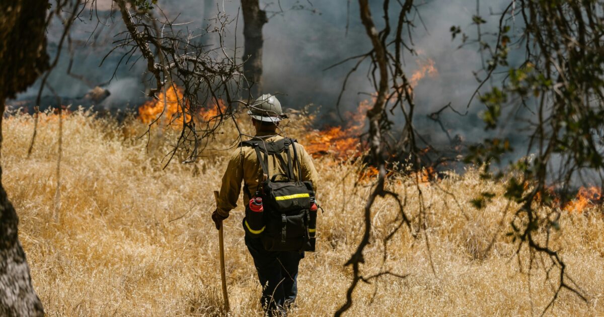 California opens $135M grant program for wildfire prevention projects ...