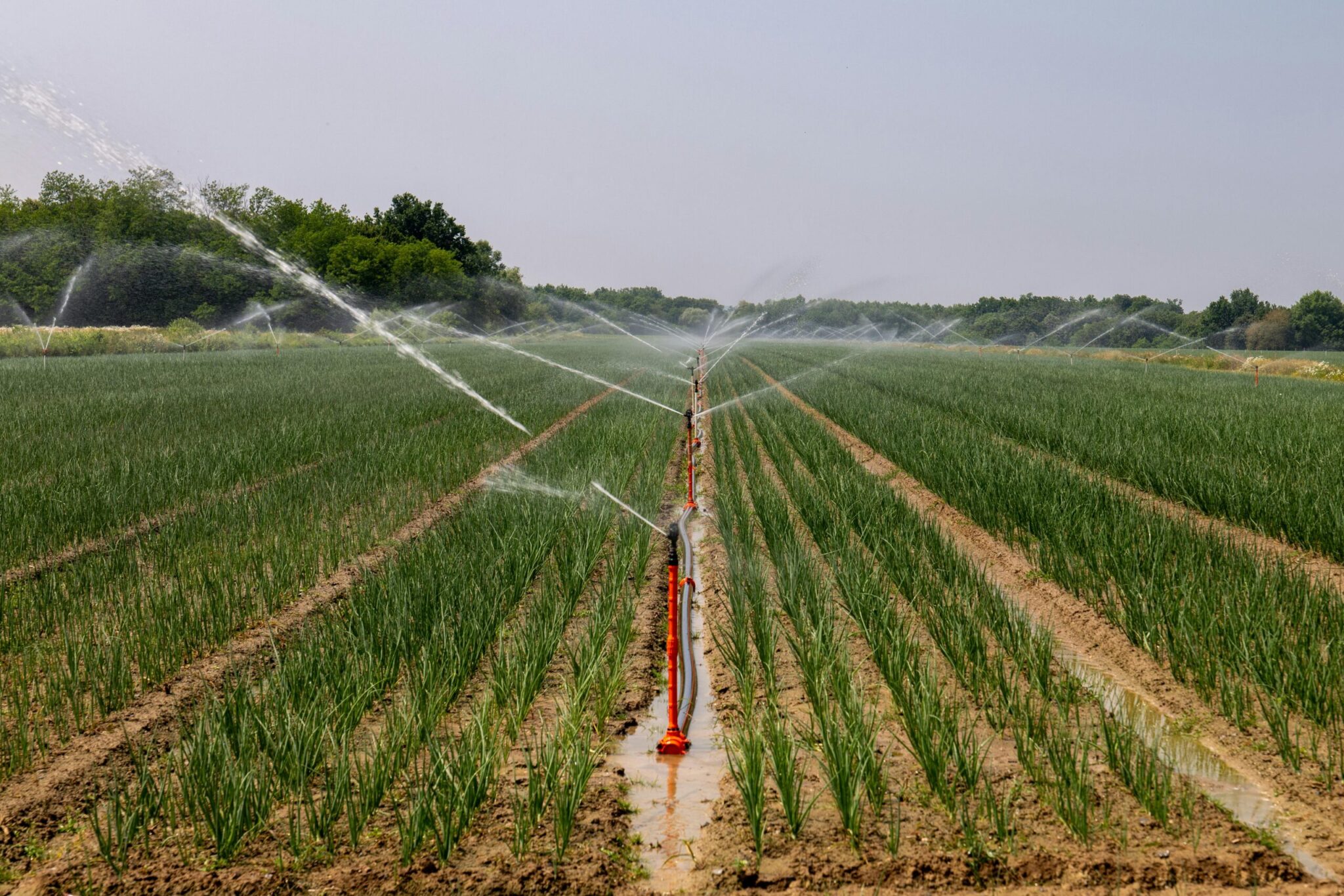 North Texas water district plans $1B water infrastructure investment ...