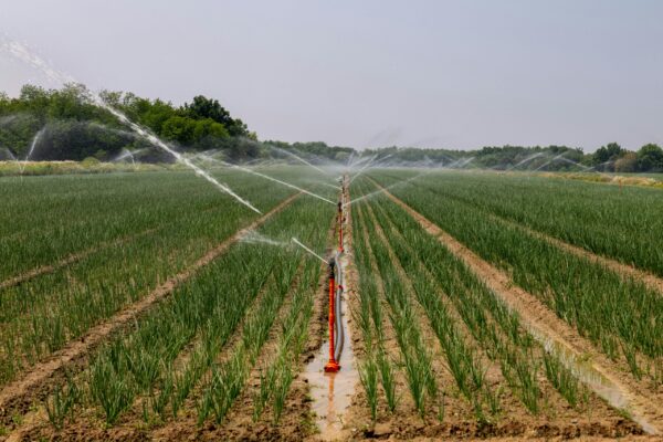 North Texas water district plans $1B water infrastructure investment ...