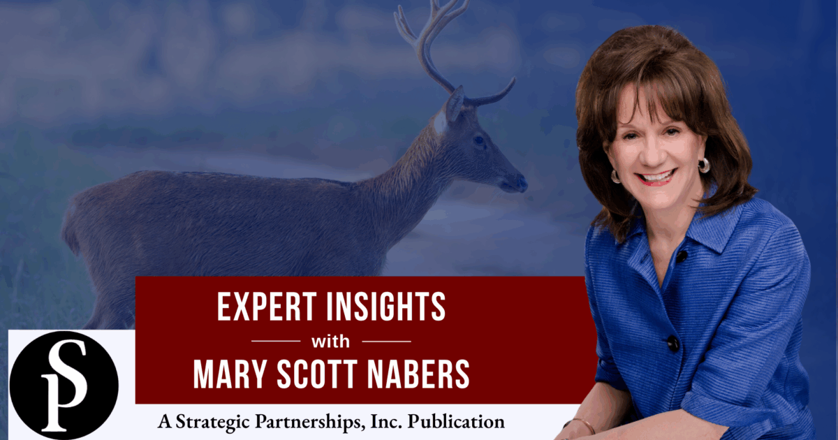 Multimillion-dollar wildlife overpass and underpass projects are ...