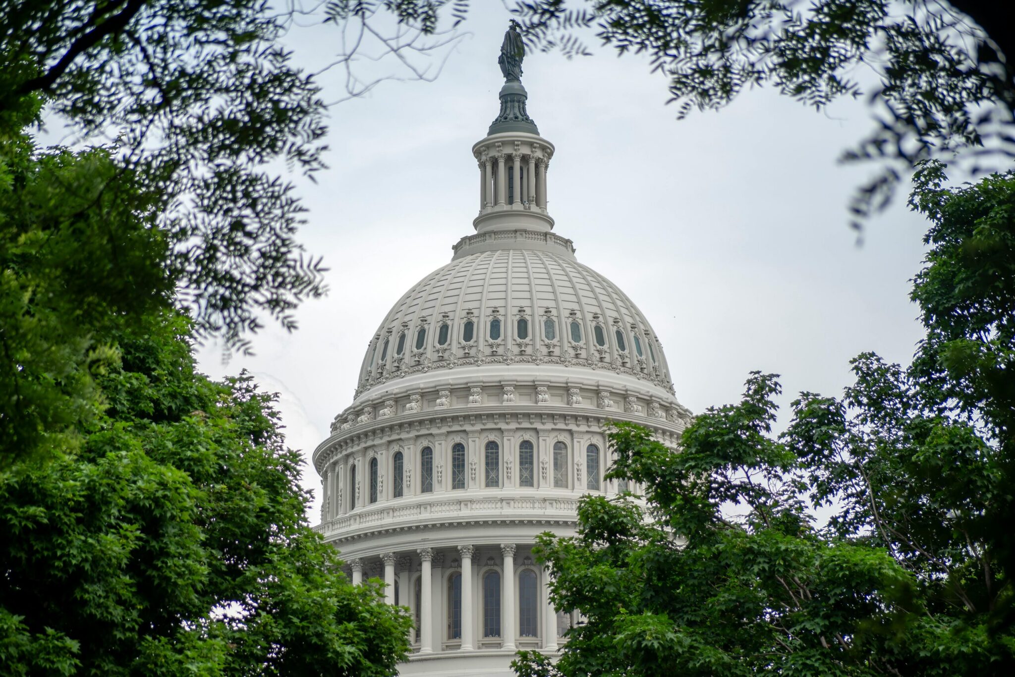 GSA’s expanded OASIS+ program offers opportunities for small businesses ...