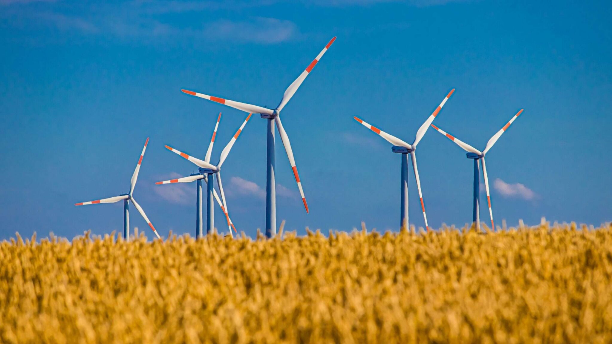 Tucson, TEP partner on clean energy, resilience plan - Mary Scott Nabers